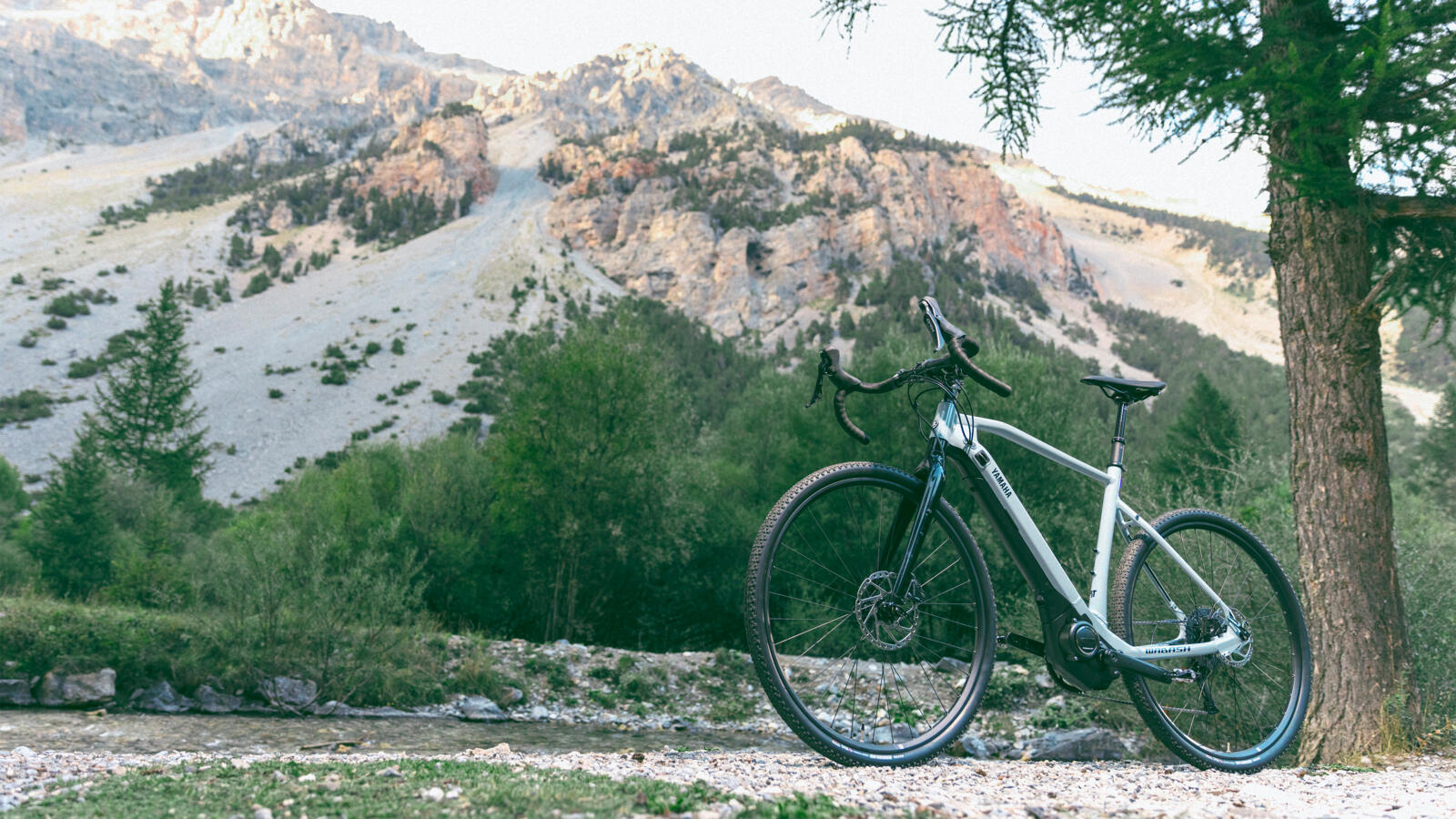 Martin Birrer - Yamaha Motor