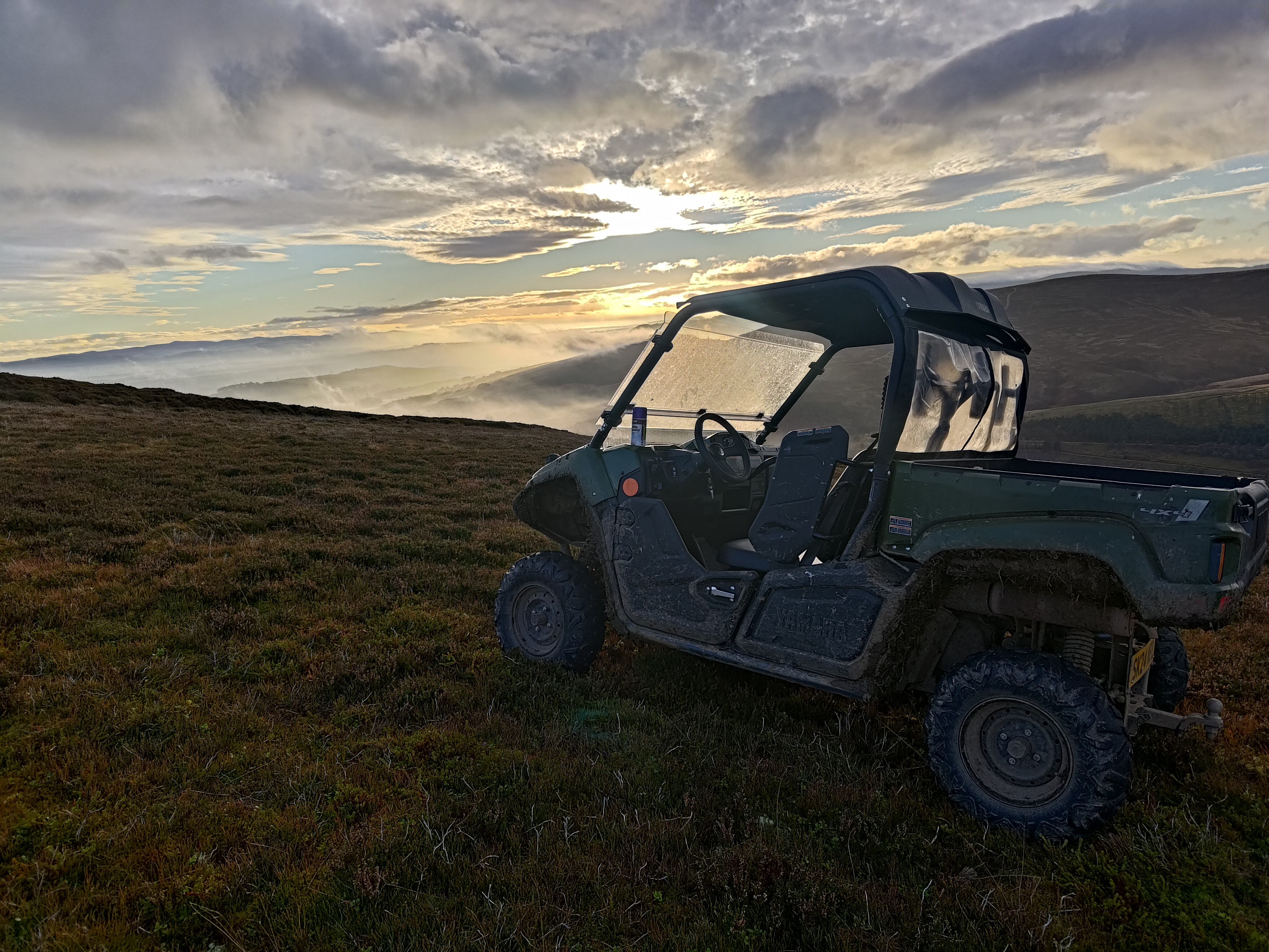 The Viking: An Essential Partner for a Busy Angus Farming Family ...