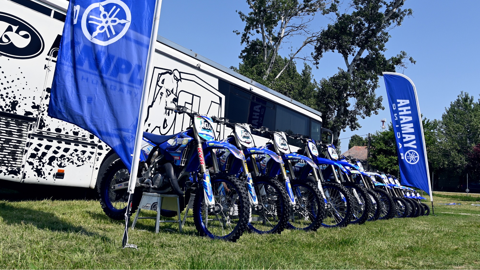 Experience details - Yamaha Motor