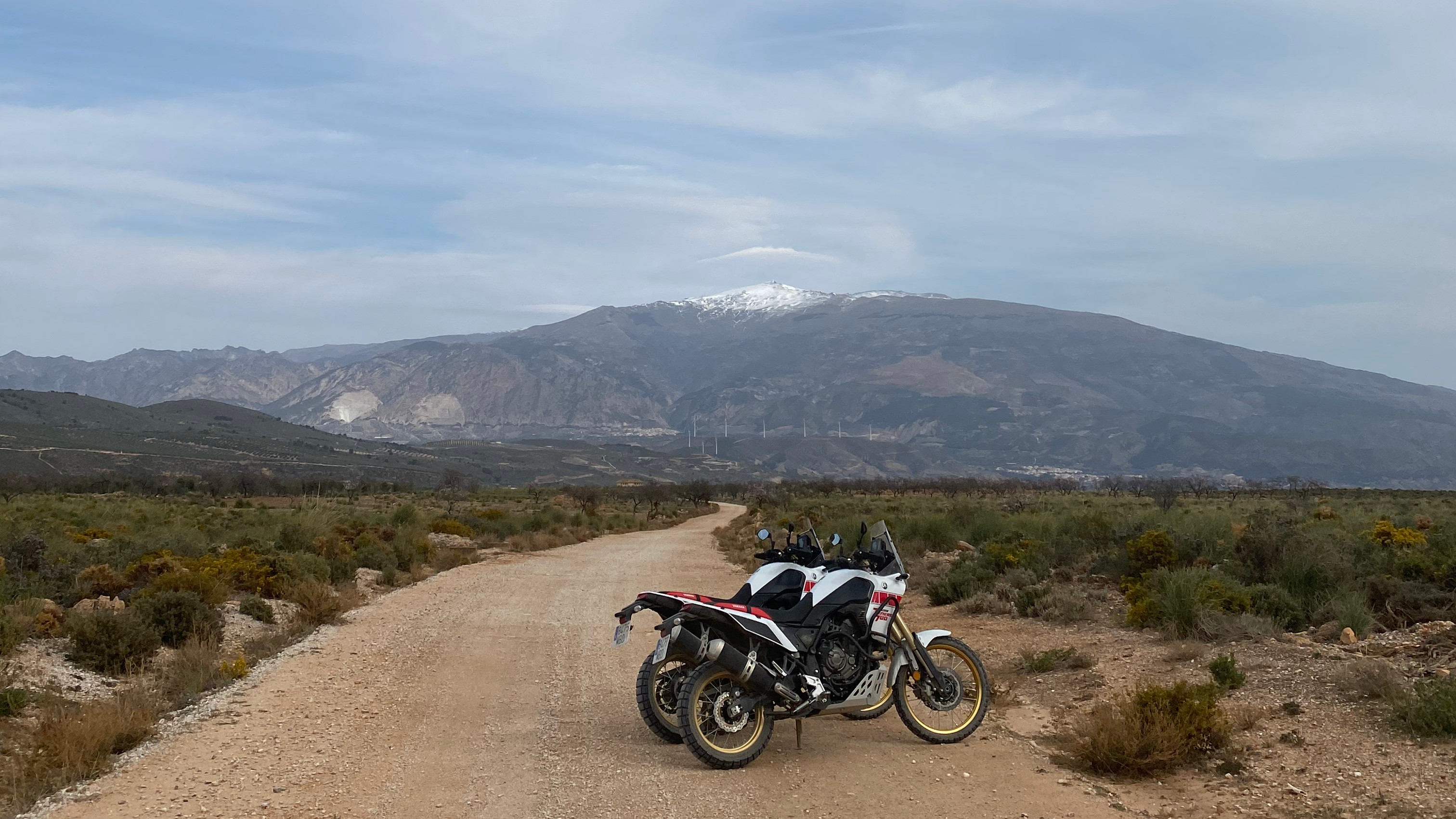 Ténéré 700 Rally | Adventure Motorrad | 700ccm | 2026 | Yamaha Motor