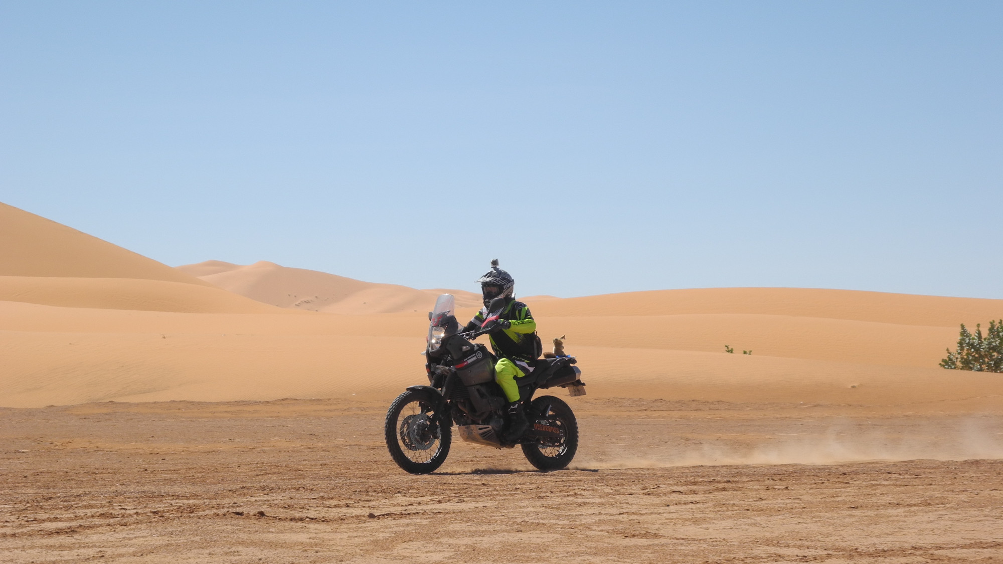 Tenere Desert Motorrad Yamaha Tenere 700 Rally Edition, , Baujahr:
