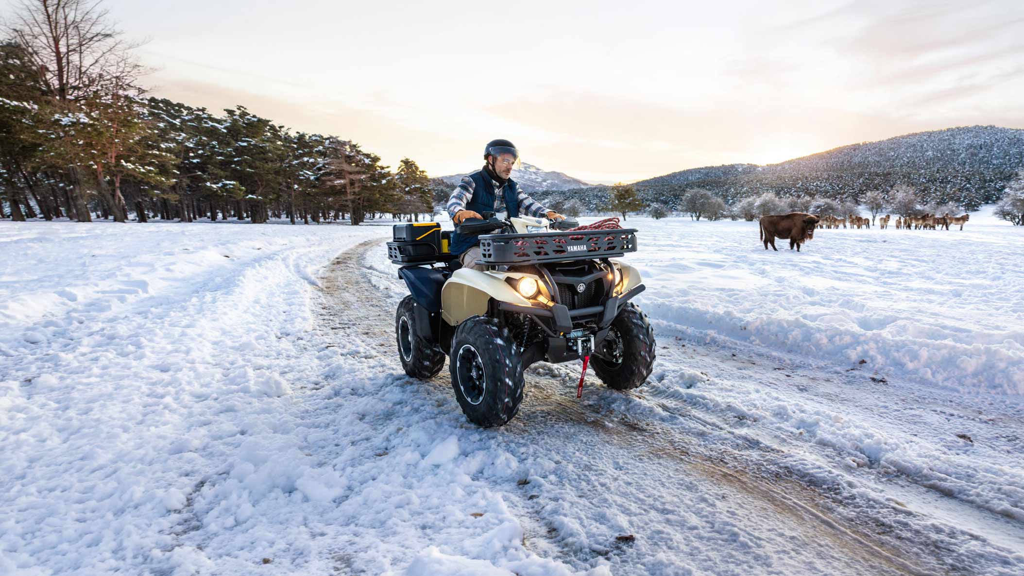 Yamaha Expands Utility Line with Kodiak 700 and 450 Kiwami Editions ...